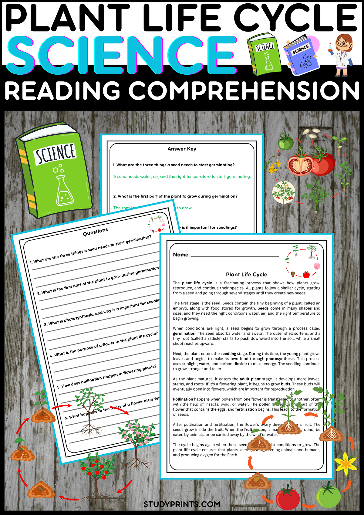 Plant Life Cycle Reading Passage with Comprehension Questions | Study ...