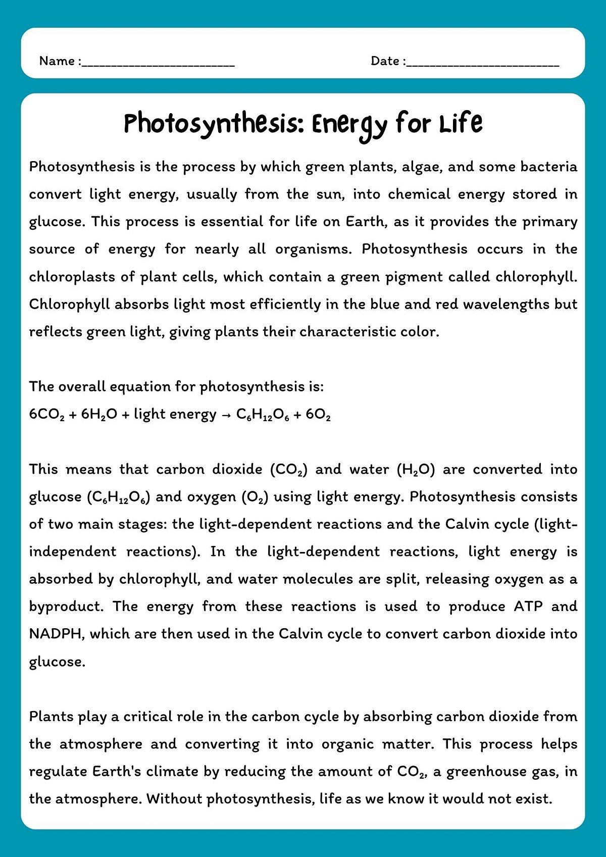 Photosynthesis Reading Comprehension Passage with Questions (PDF ...