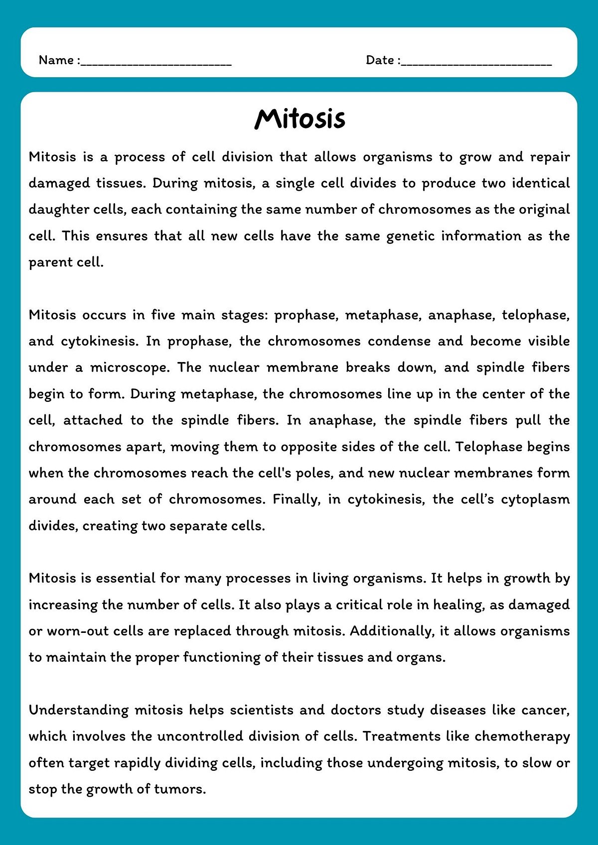 Mitosis Reading Comprehension Passage & Questions | Learn Prints - The ...