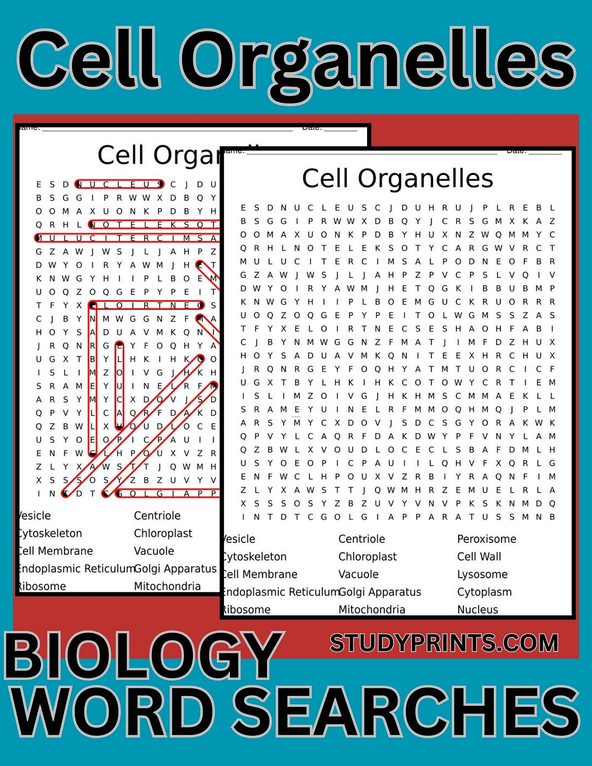 cells and organelles word search answer key | Study Prints