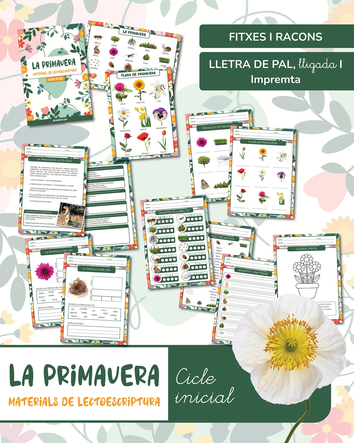 Cicle Inicial | saviament