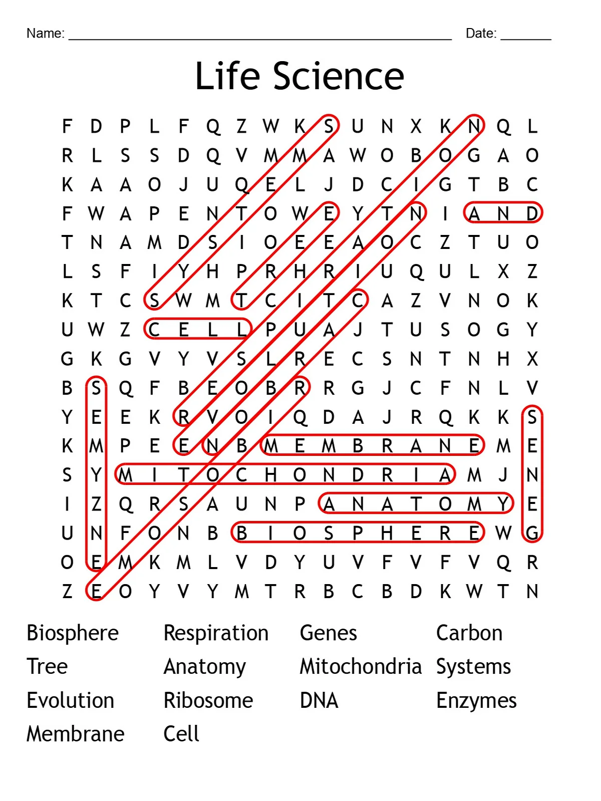 Life Science Word Search Puzzle – Fun & Educational Activity | Learn ...