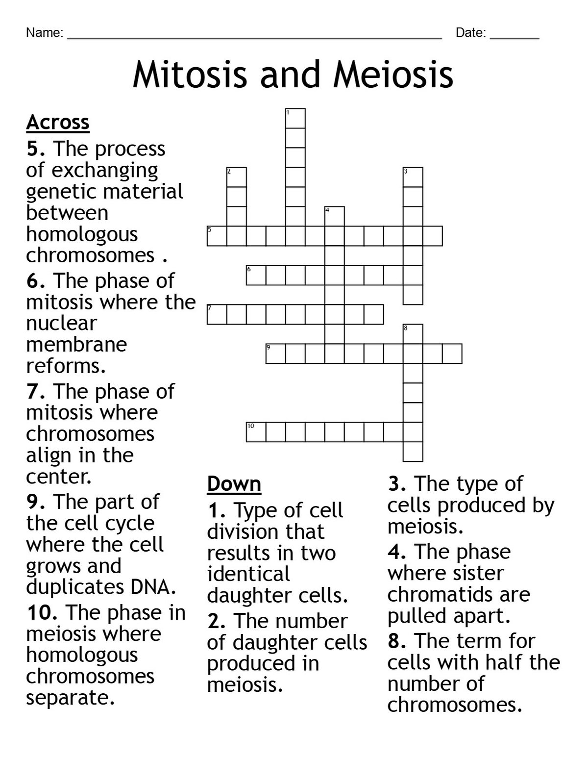 Mitosis and Meiosis Crossword Puzzle: Fun Biology Activity | Learn ...
