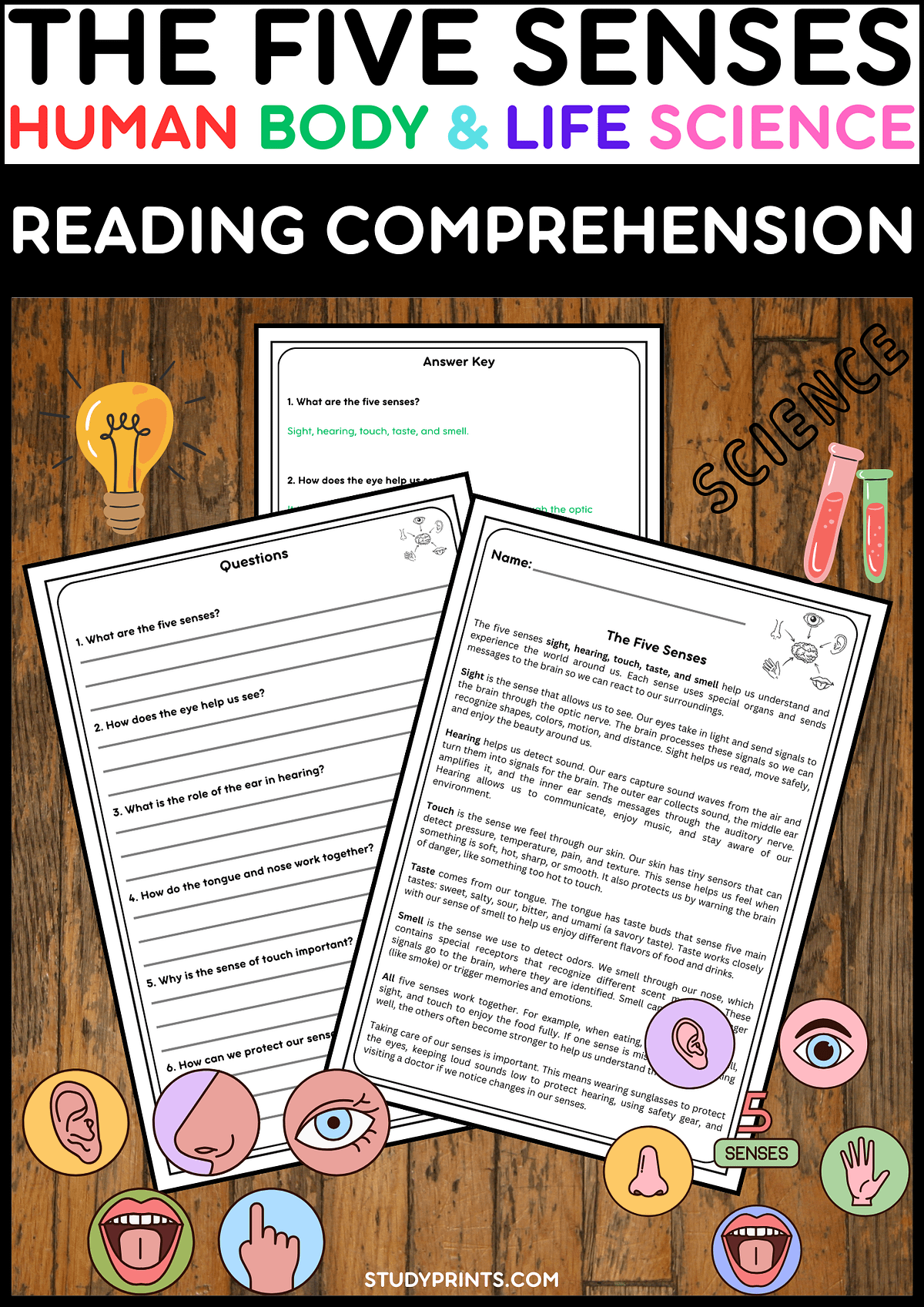 The Five Senses Reading Passage with Comprehension Questions | Human ...