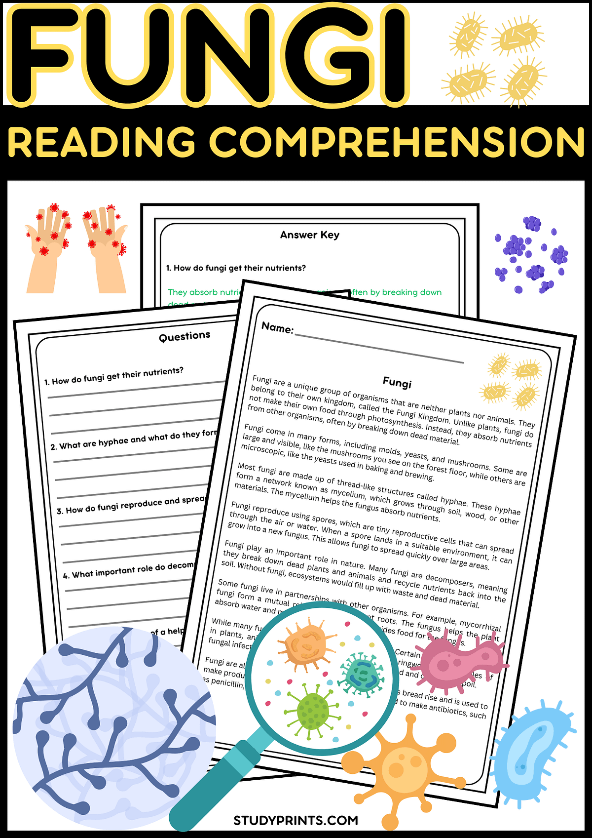 Fungi Reading Passage with Questions and Answer Key | Study Prints