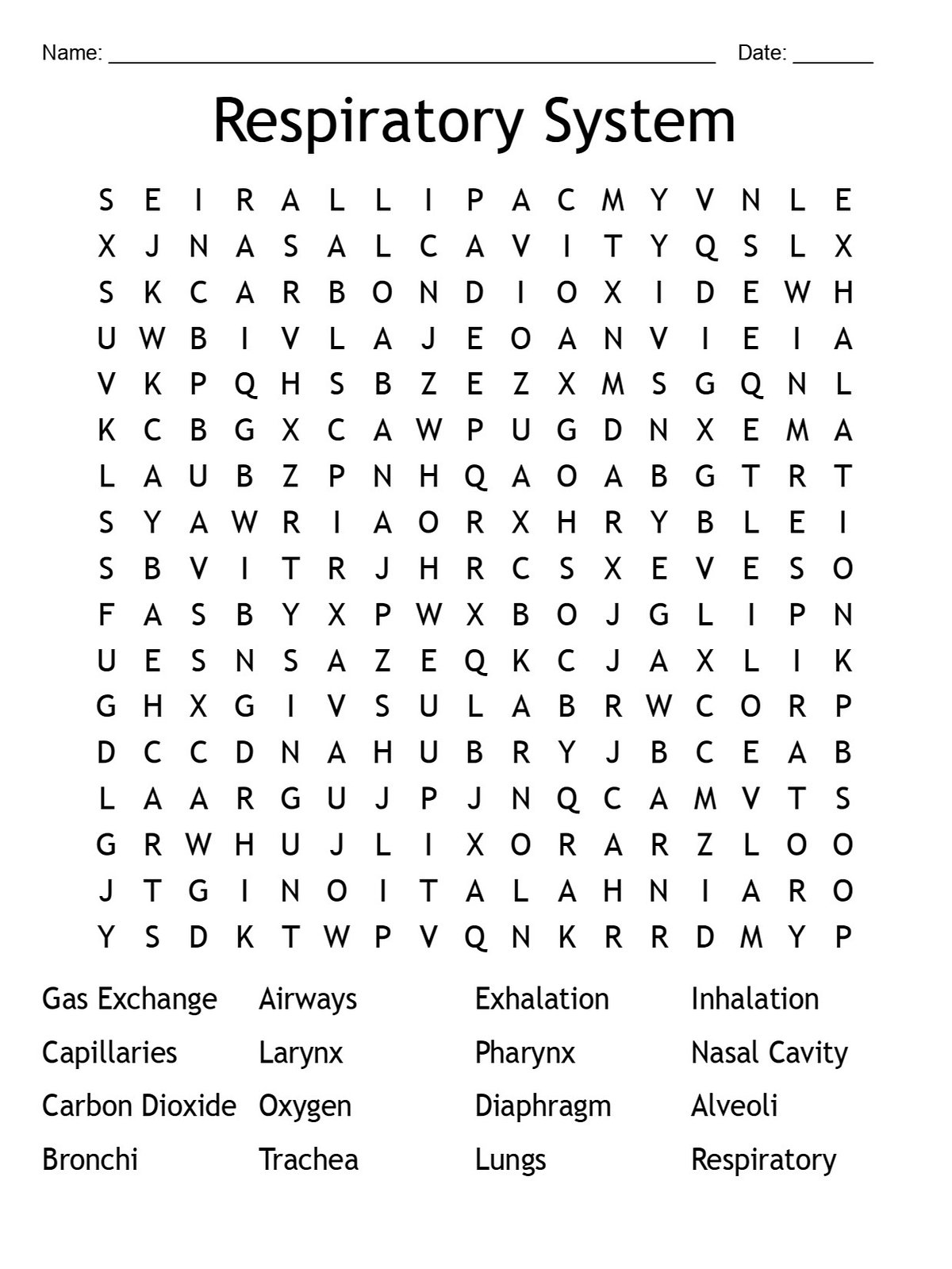 Printable Respiratory System Word Search – 16 Key Terms! | Learn Prints ...