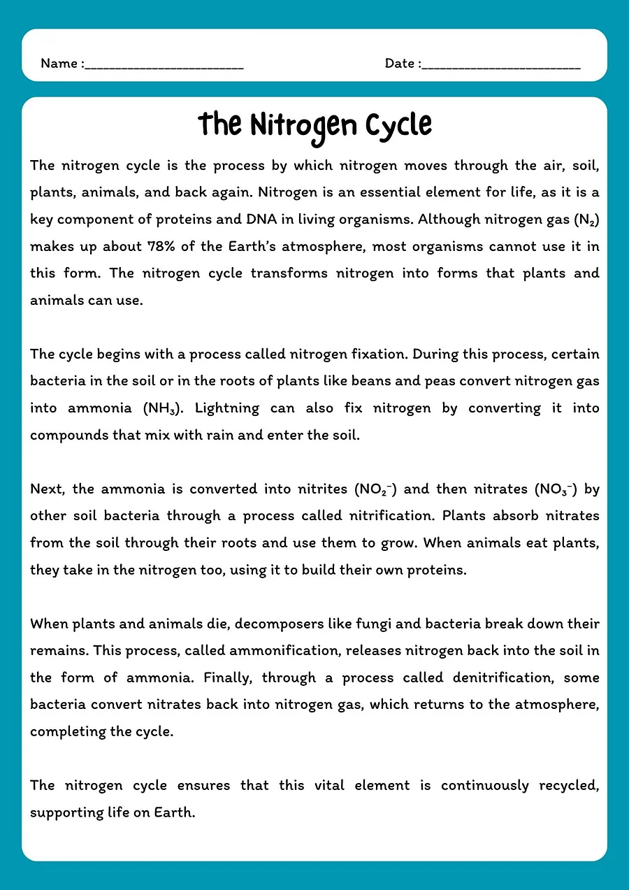 Nitrogen Cycle Reading Comprehension Passage & Questions | Learn Prints ...