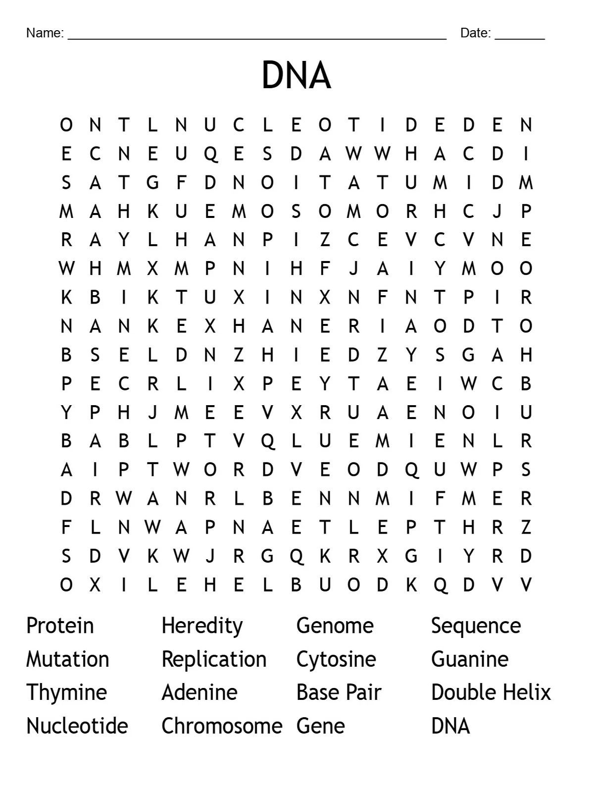 Printable DNA Word Search – 16 Key Vocabulary Puzzle Activities | Learn ...