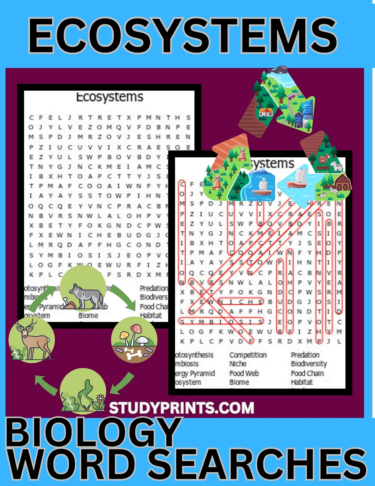Ecosystems Word Search - Science Vocabulary Activity | Study Prints