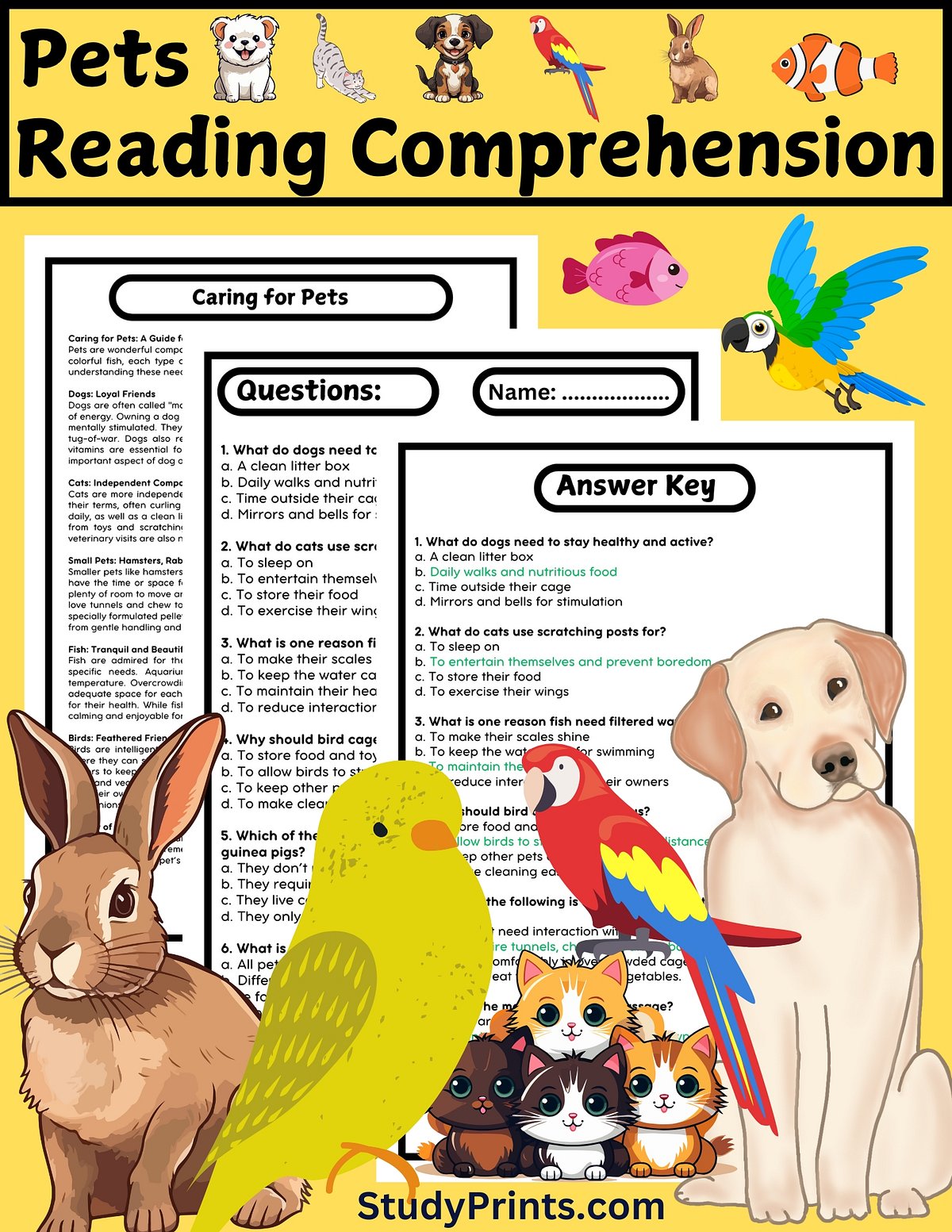 Pets Reading Comprehension (Grade 5) | Study Prints