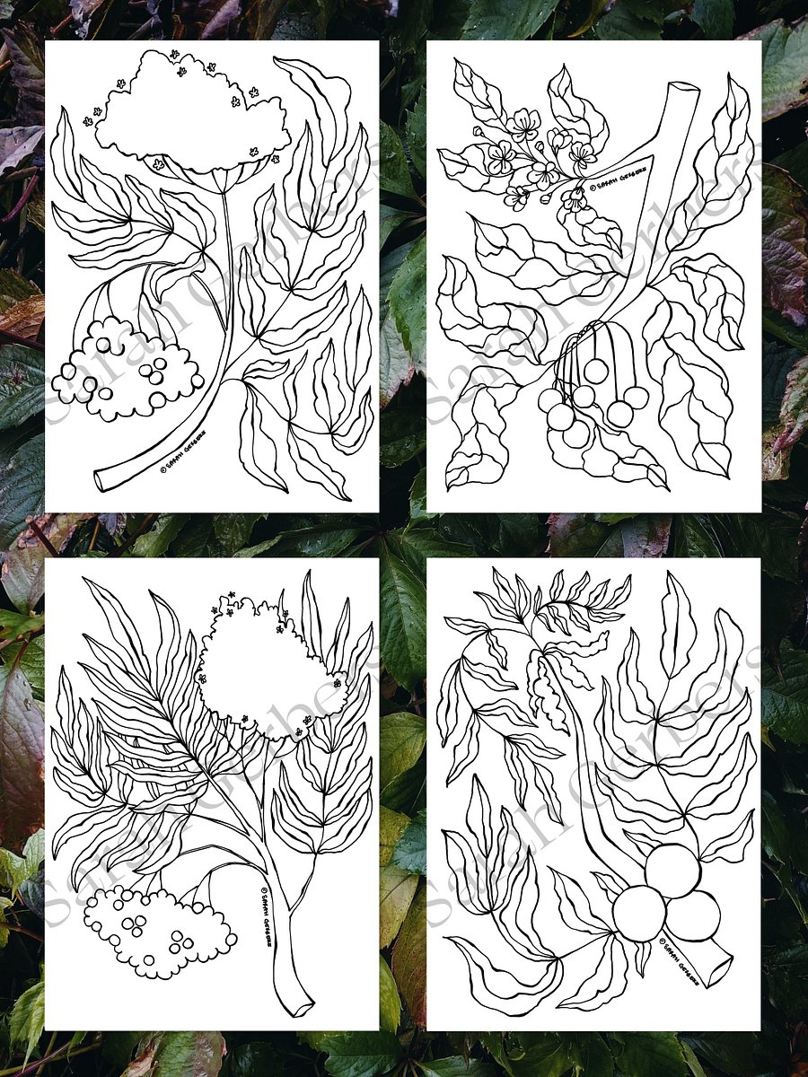 Fruit Tree Coloring Pages Printable | Sarah Gerbers