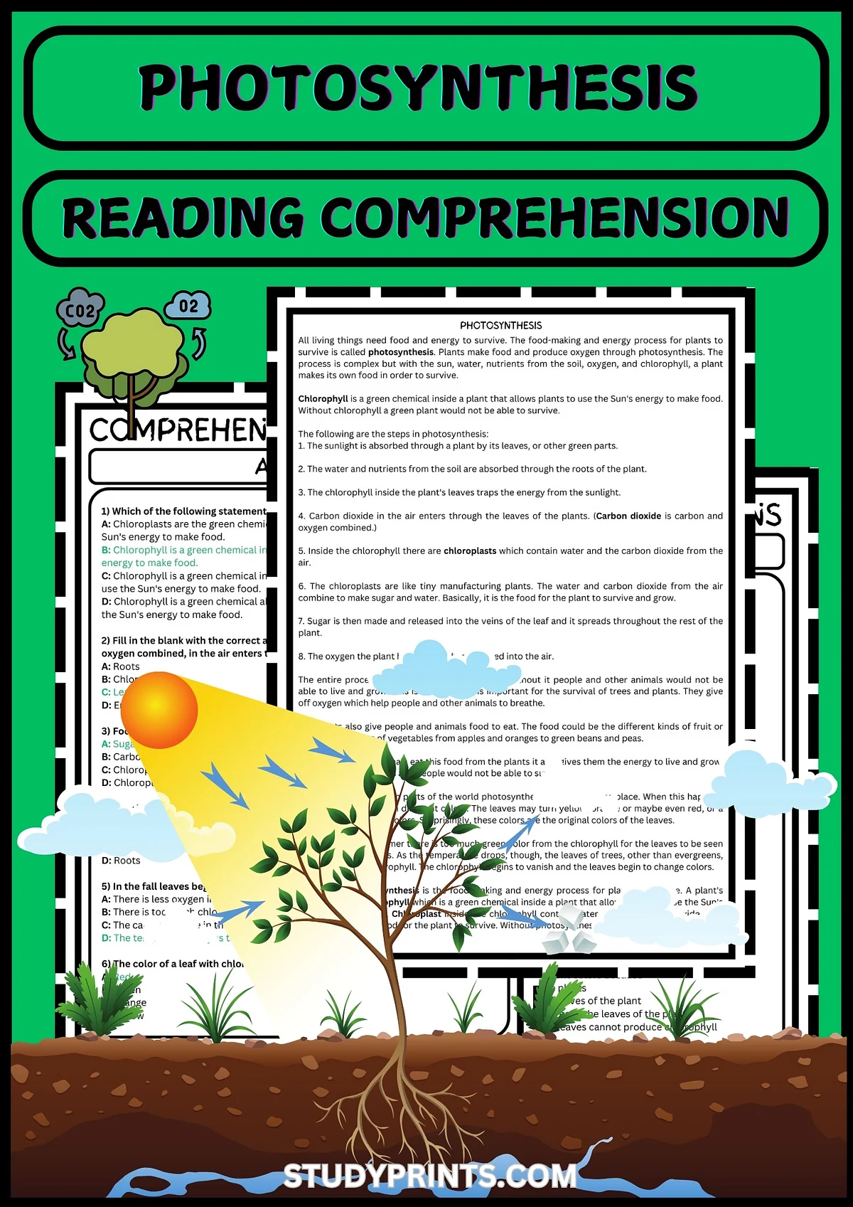 reading passages on photosynthesis worksheets with questions | Study Prints