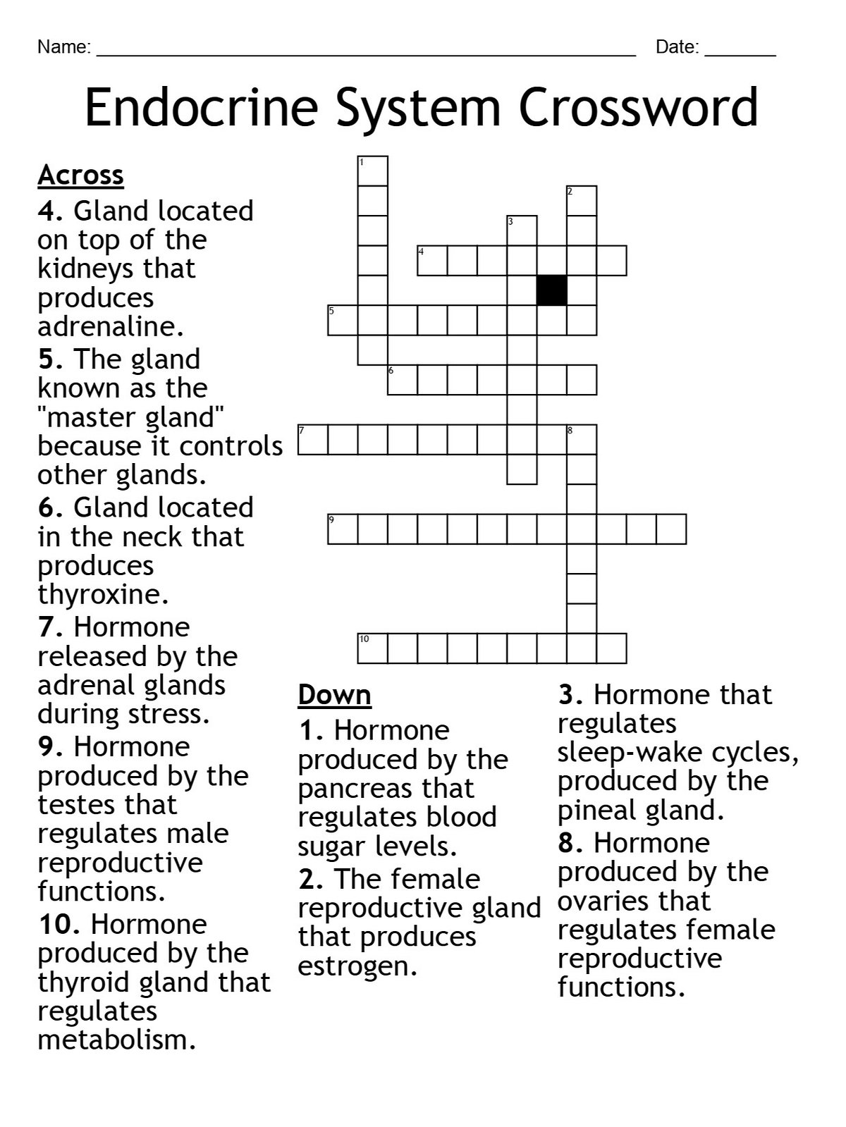 Endocrine System Crossword Puzzle – Fun Biology Activity | Learn Prints ...