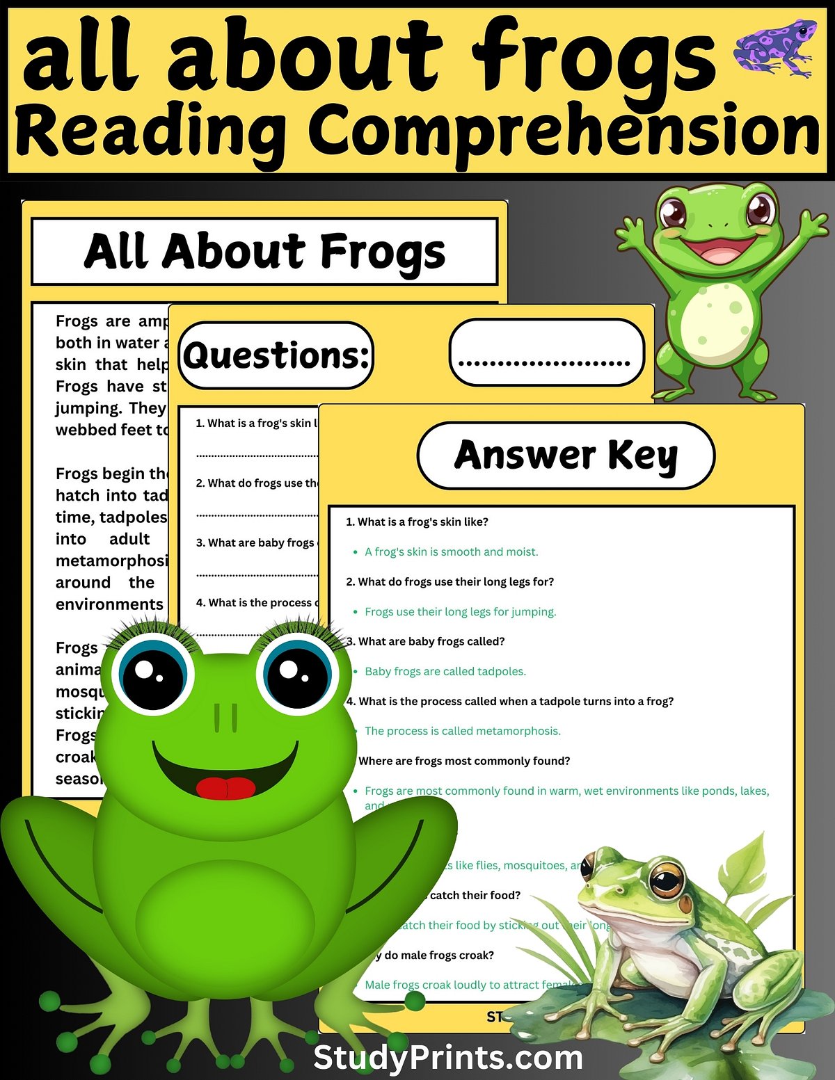 all about frogs reading comprehension worksheets | Study Prints